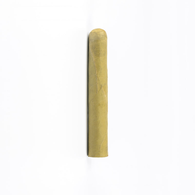 Robusto Green Candela 5 x 50 | Cigars Tampa City